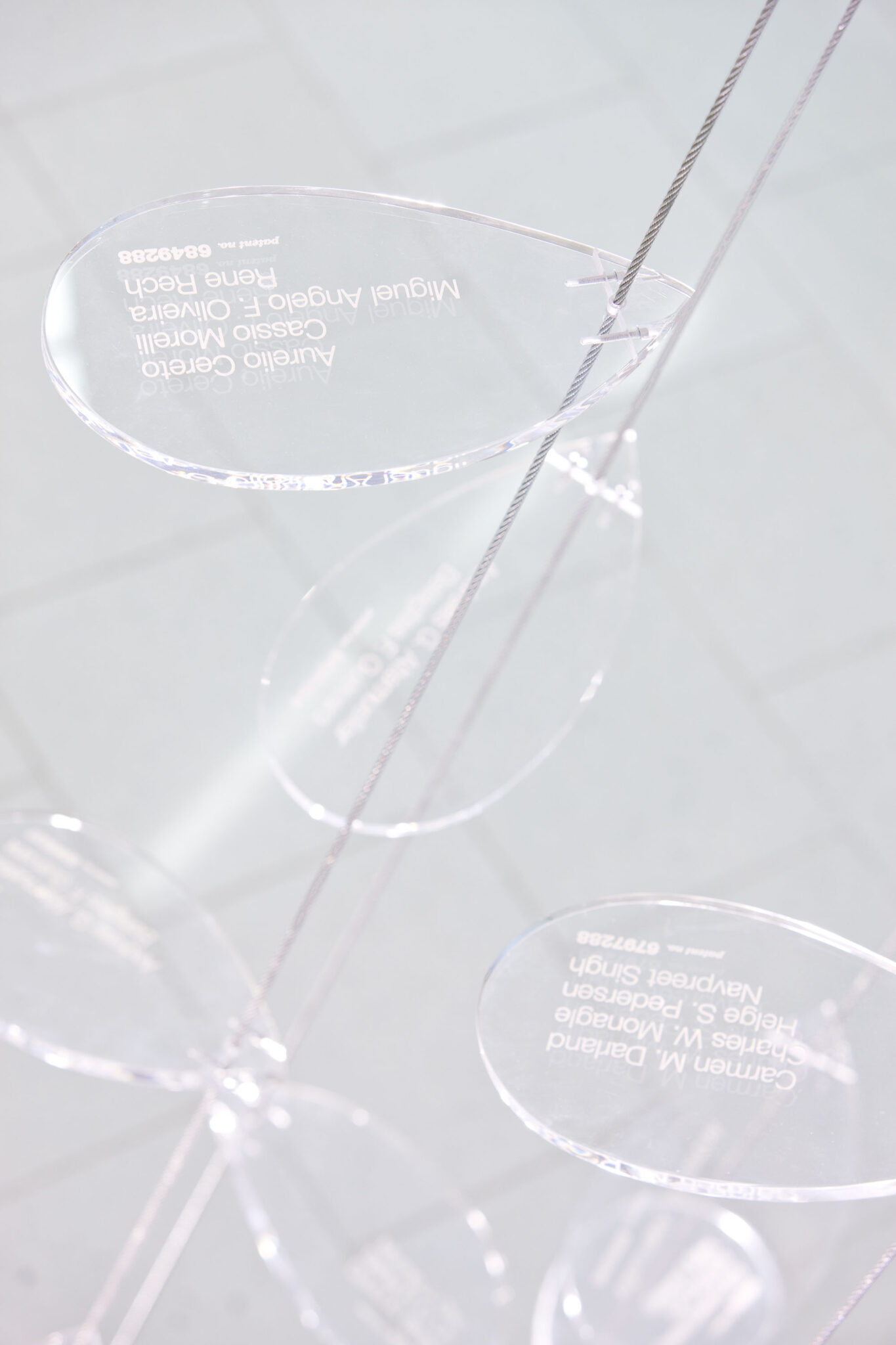 Solae Patent Recognition - Kuhlmann Leavitt